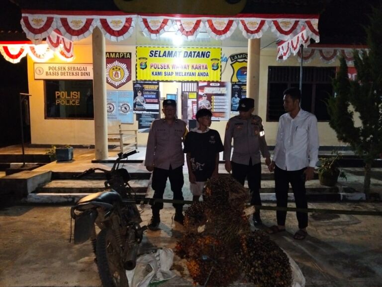 Tekab 308 Presisi Polsek Waway Karya Tangkap Pencuri Sawit Berulang di ...